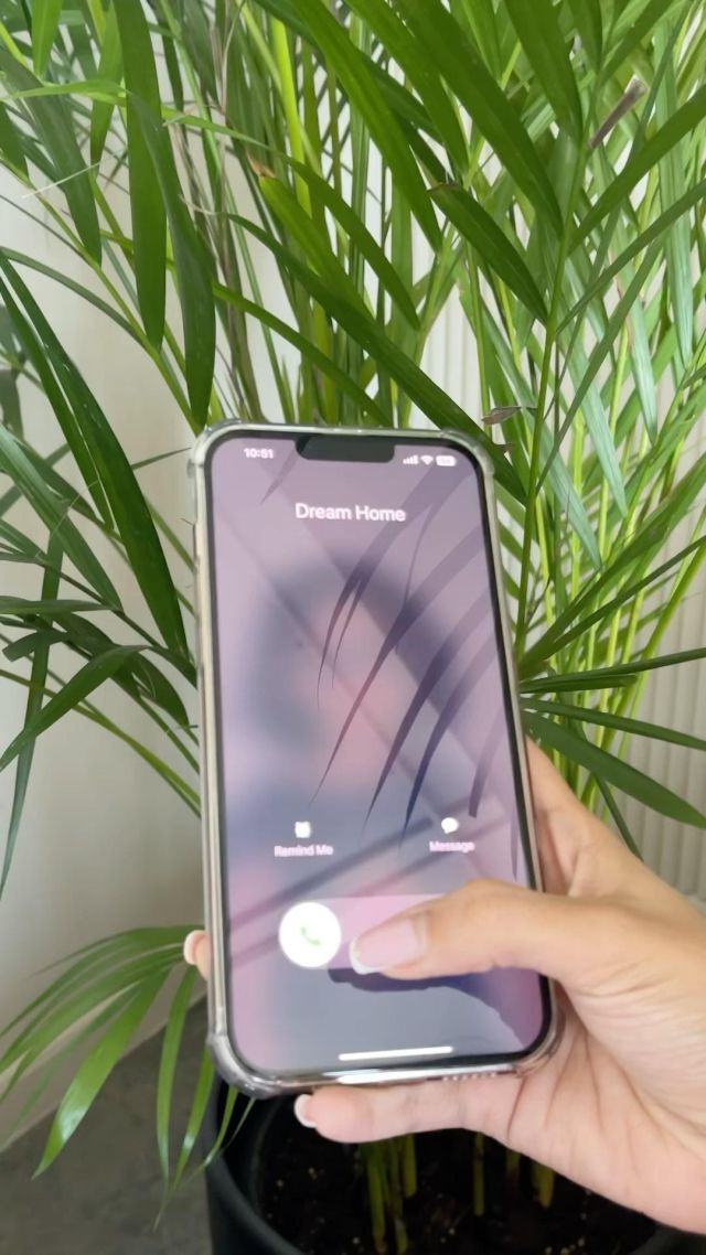 Projects - Wonderwall